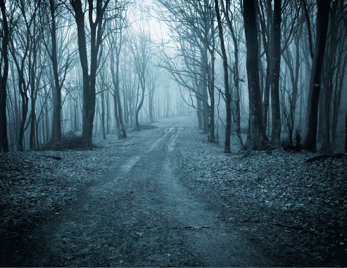 The Difference between Informative and Persuasive | NCFCA